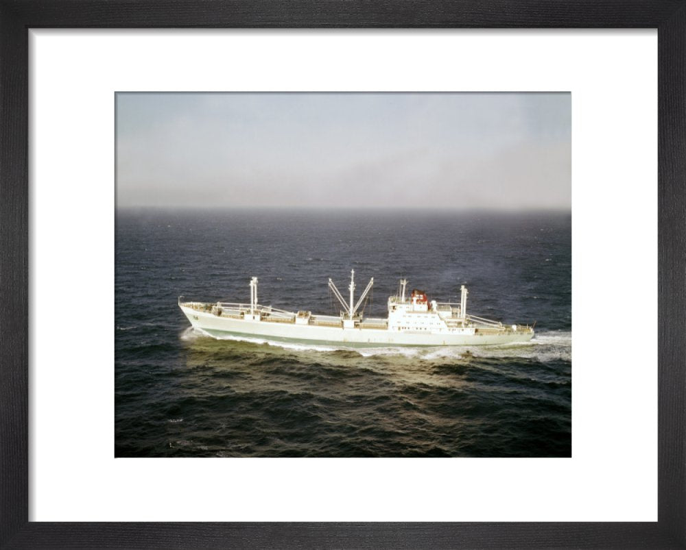 WILD AUK at sea – P&O Heritage Prints