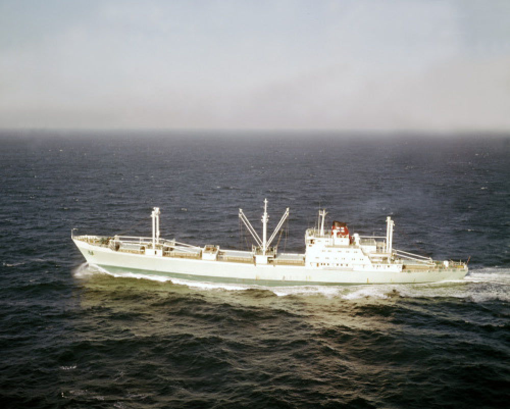 WILD AUK at sea – P&O Heritage Prints