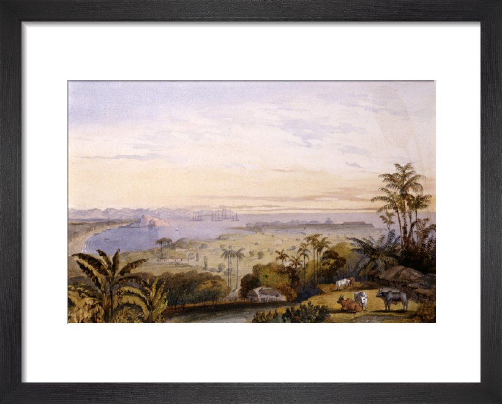 "Point de Galle, Ceylon" – P&O Heritage Prints