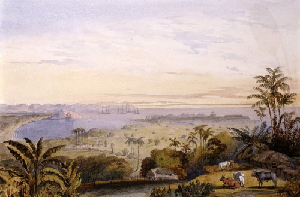 "Point de Galle, Ceylon" – P&O Heritage Prints