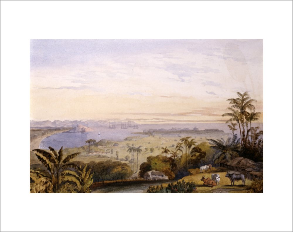 "Point de Galle, Ceylon" – P&O Heritage Prints